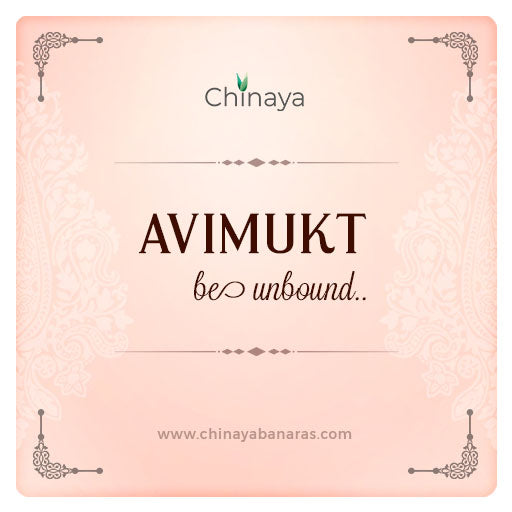 Banarasi Sarees For Women | Avimukt Collection 2.0 – Chinaya Banaras